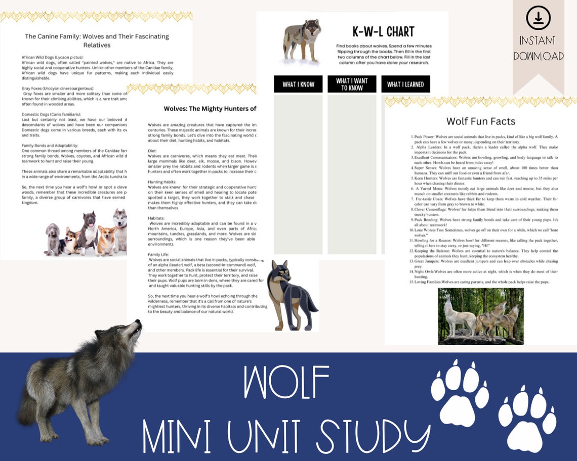 Wolf Mini Unit: Wolf Anatomy, Wolf Study, Wolf Lesson, Canine ...