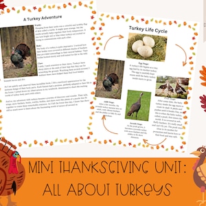 Turkey Tales: Turkey Anatomy, Bird Study, Bird Lesson, Bird Unit ...