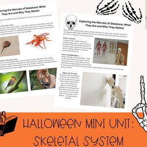 Halloween Unit: Human Skeleton Bone Structure Skeleton - Etsy