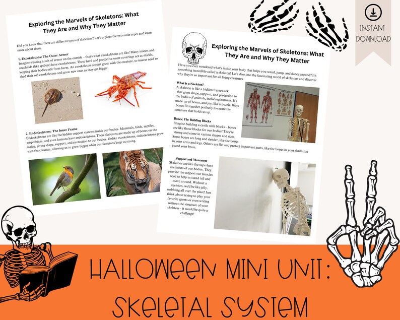 Halloween Unit: Human Skeleton Bone Structure Skeleton - Etsy