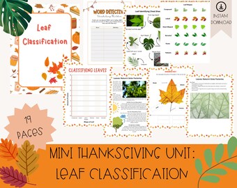 Thanksgiving History Lesson Unit - Etsy