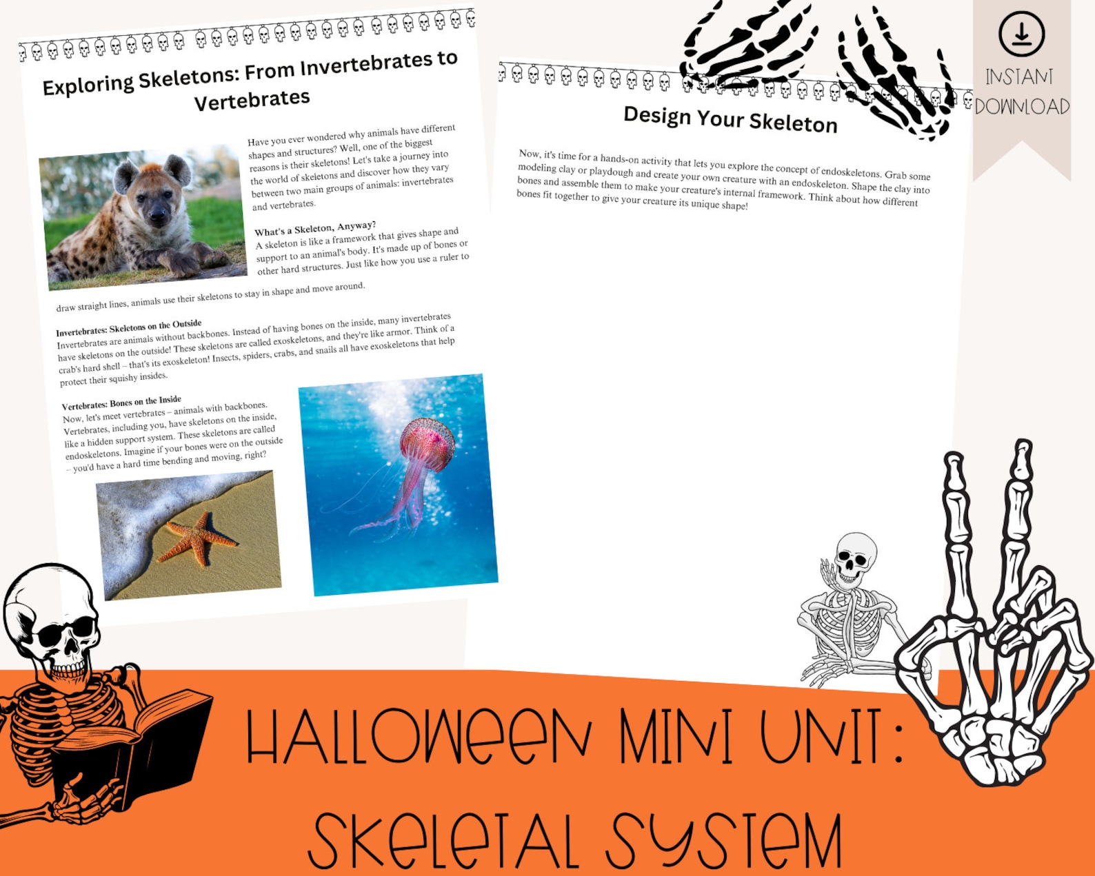Halloween Unit: Human Skeleton Bone Structure Skeleton - Etsy