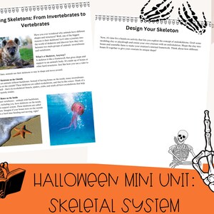Halloween Unit: Human Skeleton Bone Structure Skeleton - Etsy
