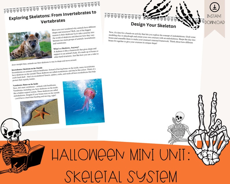 Halloween Unit: Human Skeleton Bone Structure Skeleton - Etsy