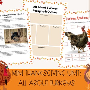 Turkey Tales: Turkey Anatomy, Bird Study, Bird Lesson, Bird Unit ...