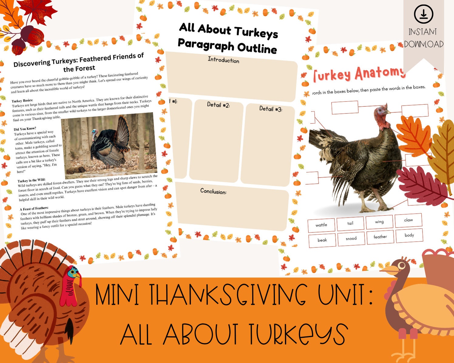 Turkey Tales: Turkey Anatomy, Bird Study, Bird Lesson, Bird Unit ...