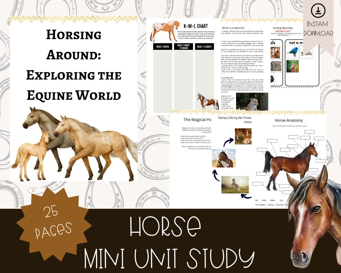 Horse Mini Unit: Horse Anatomy, Horse Study, Horse Lesson, Equine ...