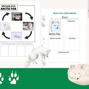 Christmas Unit Study: Winter, Homeschool Curriculum, Educational ...