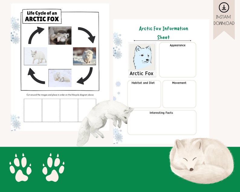 Christmas Unit Study: Winter, Homeschool Curriculum, Educational ...