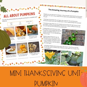 Pumpkin Lesson: Thanksgiving, Anatomy, Life Cycle, Lesson Ideas, STEM ...