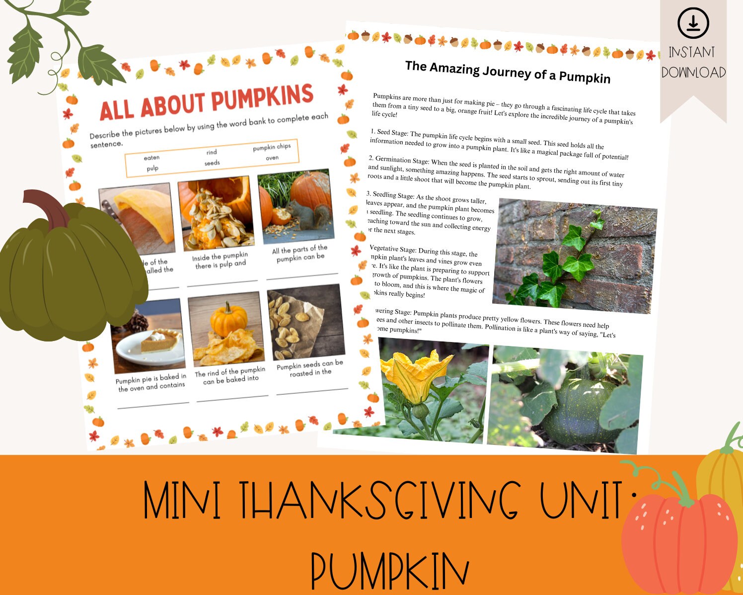 Pumpkin Lesson: Thanksgiving, Anatomy, Life Cycle, Lesson Ideas, STEM ...