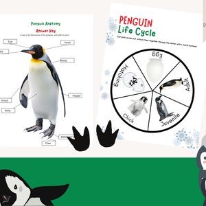 Christmas Unit Study: Winter, Homeschool Curriculum, Educational ...