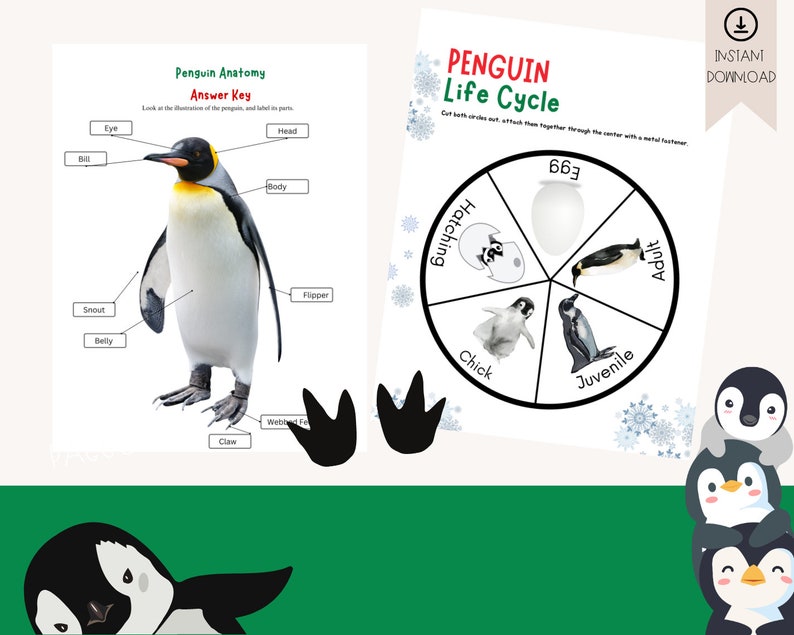 Christmas Unit Study: Winter, Homeschool Curriculum, Educational ...