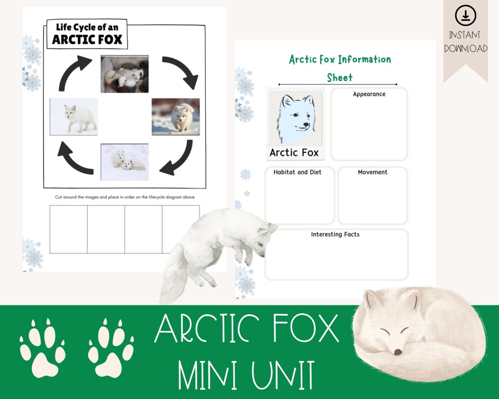 Arctic Fox Unit: Christmas Unit, Winter, Homeschool Curriculum ...