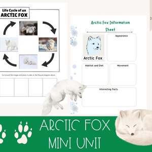 Arctic Fox Unit: Christmas Unit, Winter, Homeschool Curriculum ...