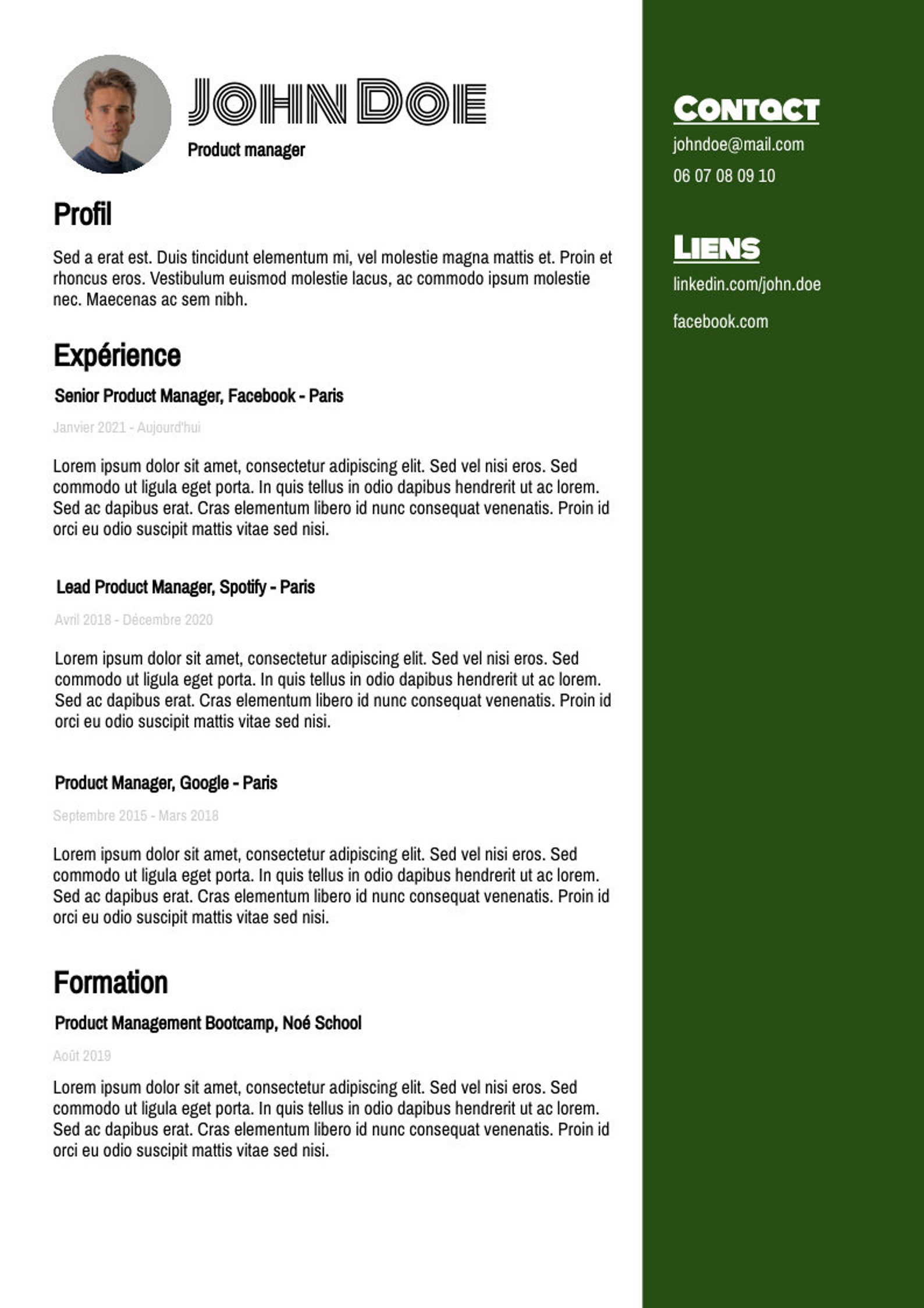 Customizable Modern Professional Resume Template Online - Etsy
