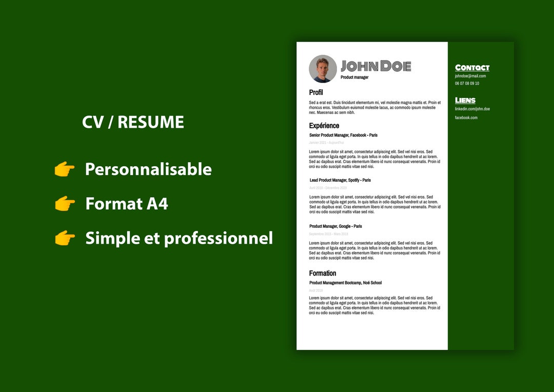 Customizable Modern Professional Resume Template Online - Etsy