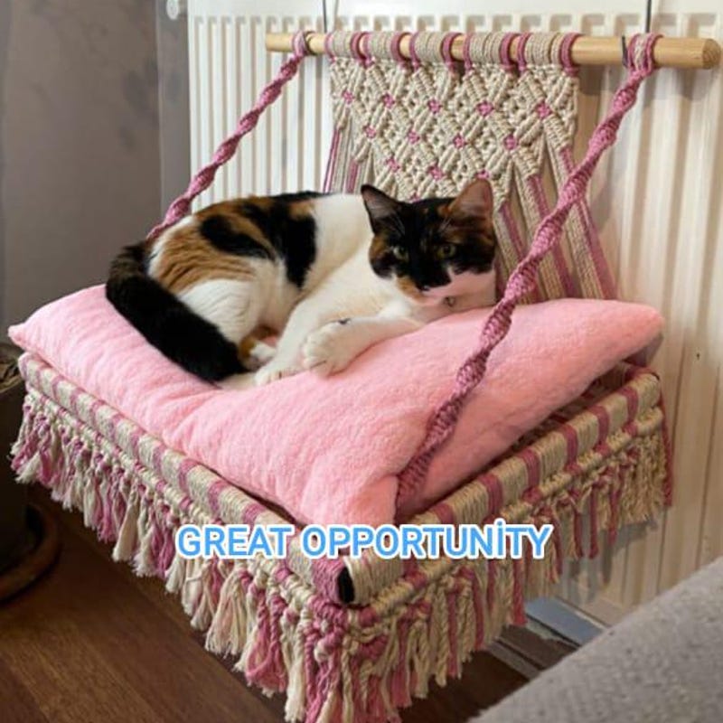 Cat Radiator Bed - Etsy