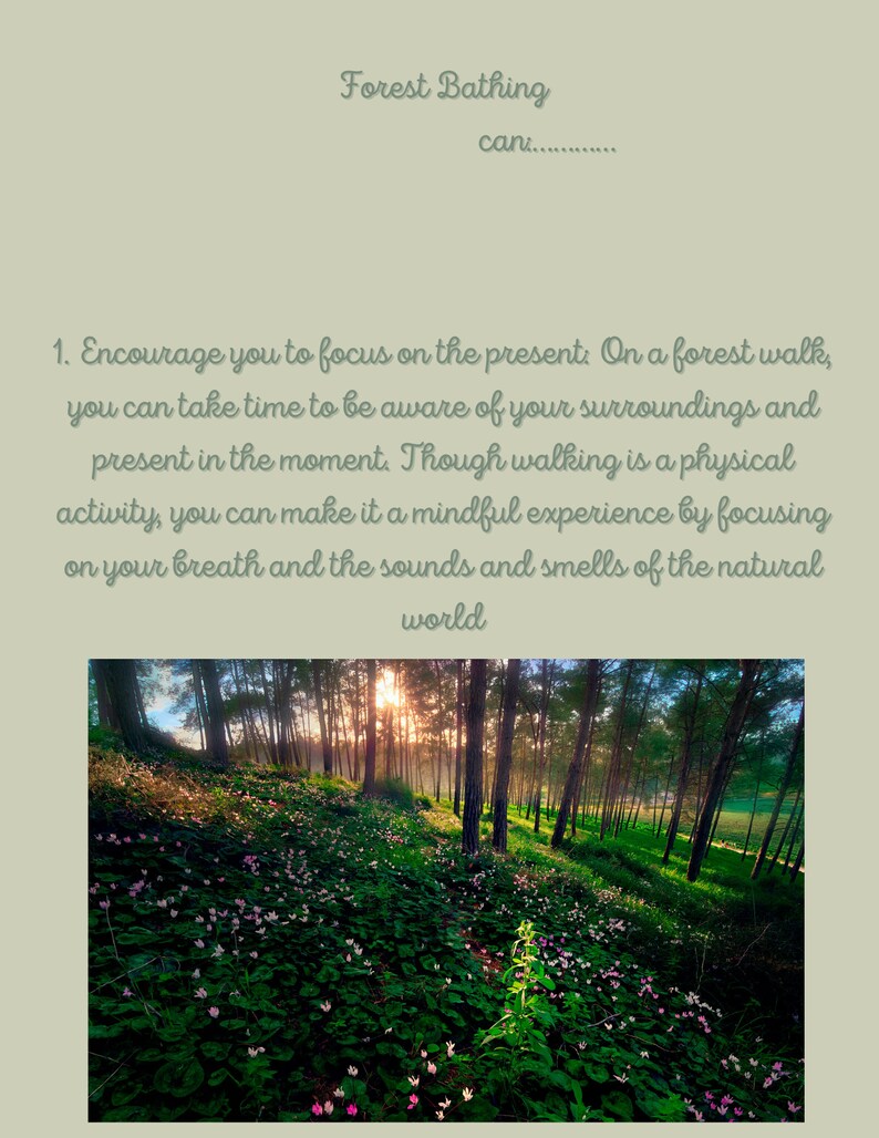 Forest Bathing Benefits WORKSHEETS - Etsy