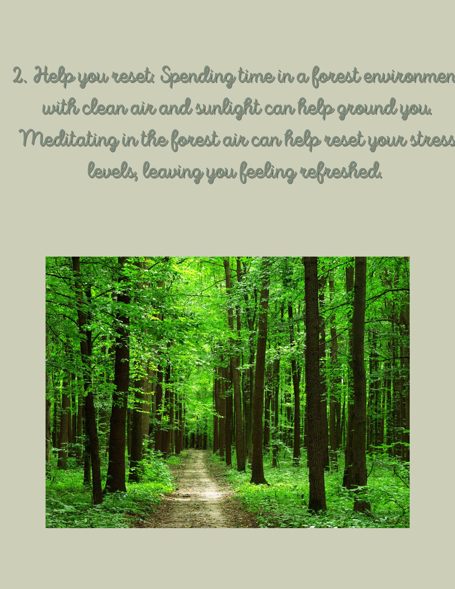 Forest Bathing Benefits WORKSHEETS - Etsy