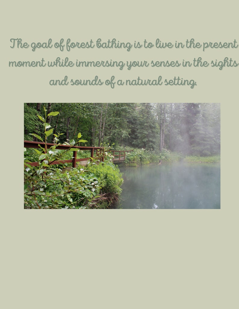 Forest Bathing Benefits WORKSHEETS - Etsy