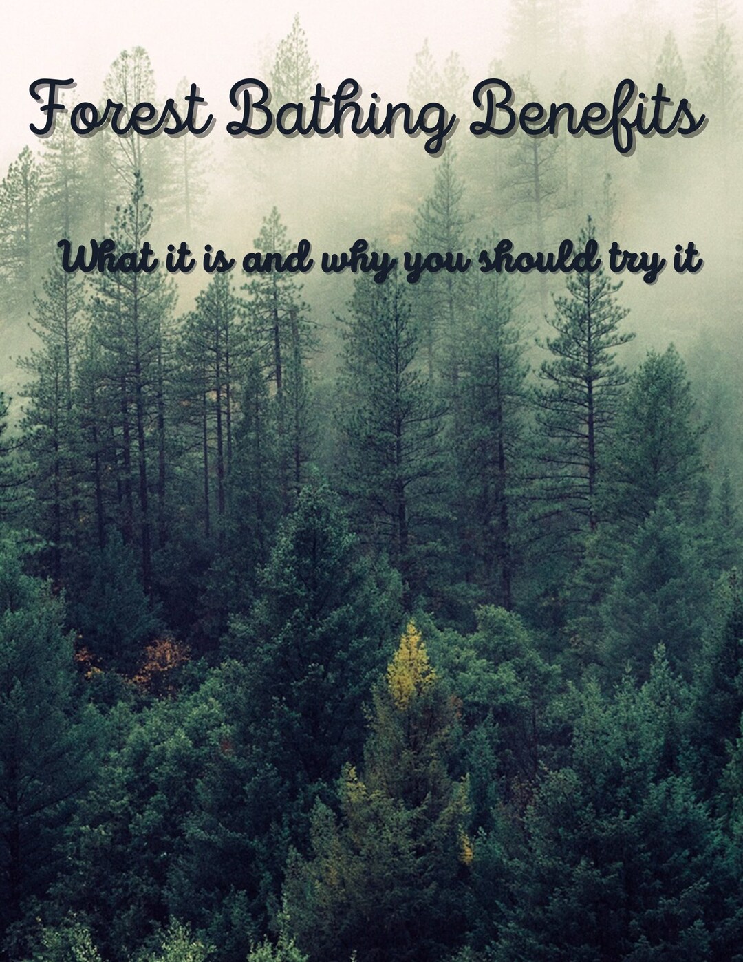 Forest Bathing Benefits WORKSHEETS - Etsy