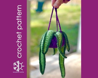 Spider Plant Crochet Pattern Amigurumi Houseplant - Etsy Canada