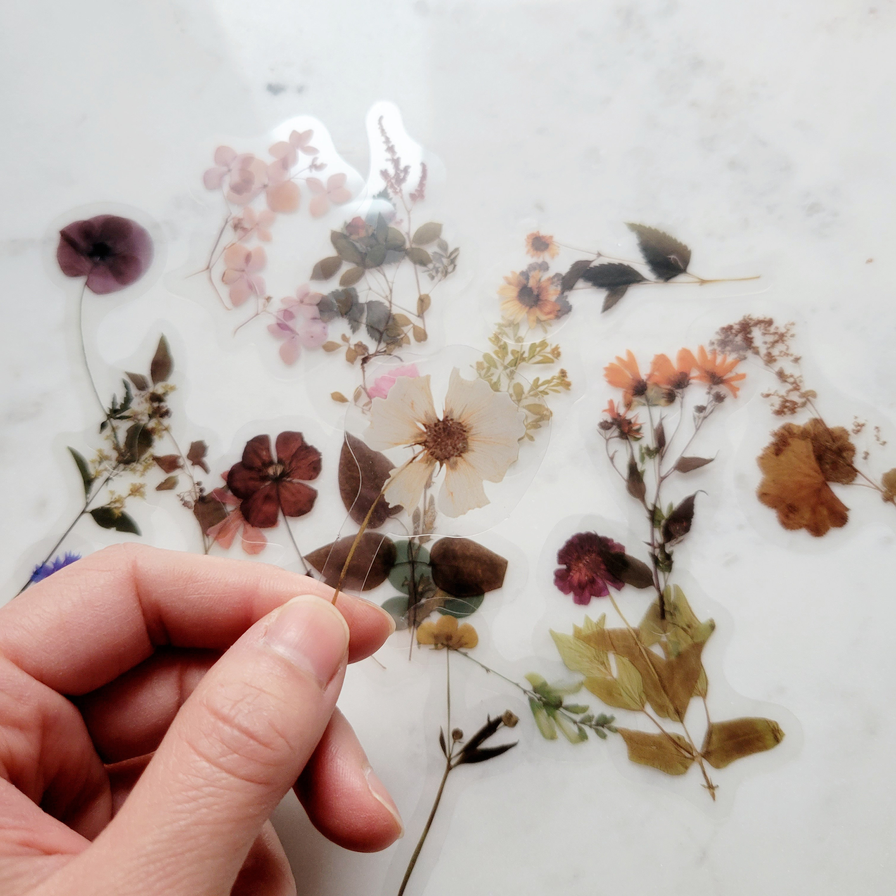 20 Clear Dried Mixed Flower Stickers - Etsy