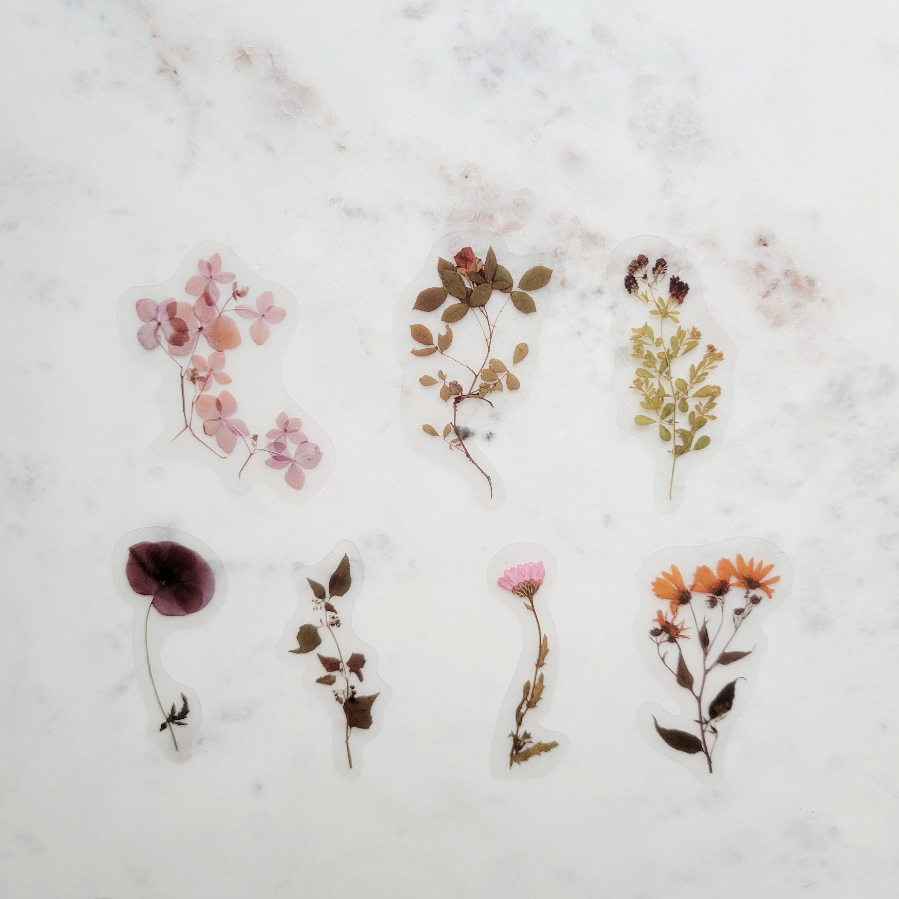 20 Clear Dried Mixed Flower Stickers - Etsy
