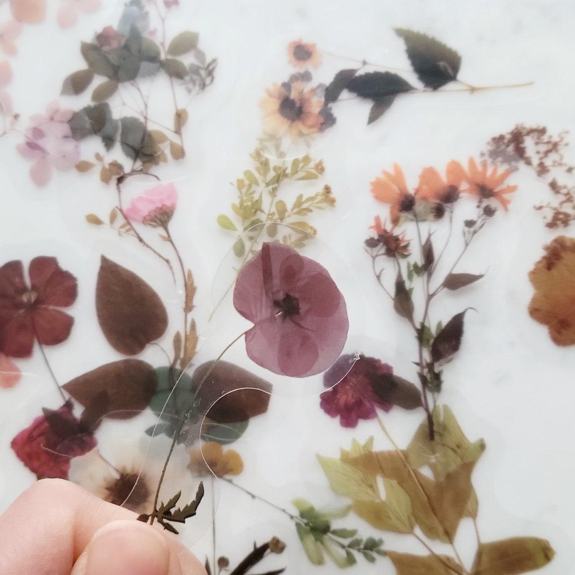 20 Clear Dried Mixed Flower Stickers - Etsy