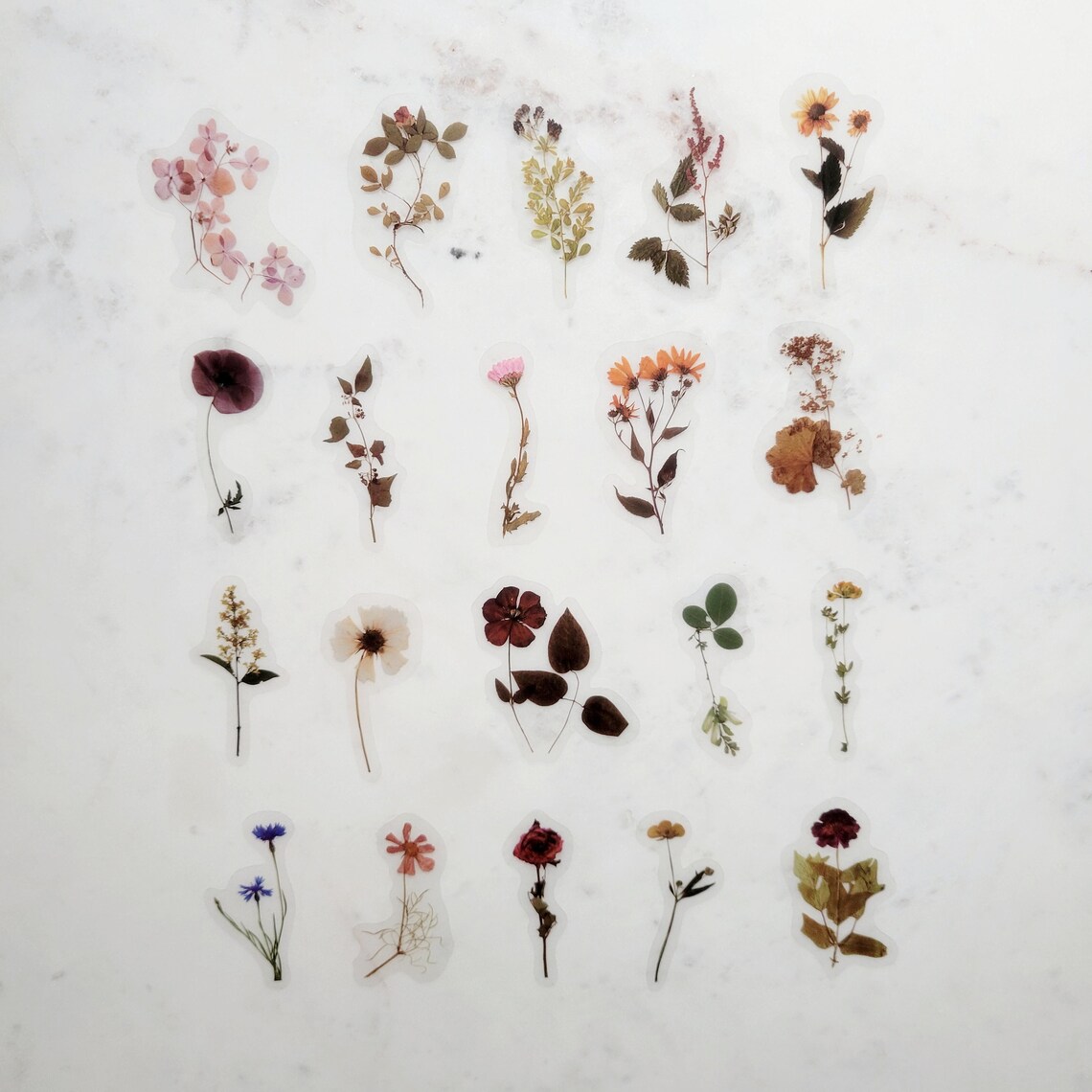 20 Clear Dried Mixed Flower Stickers - Etsy