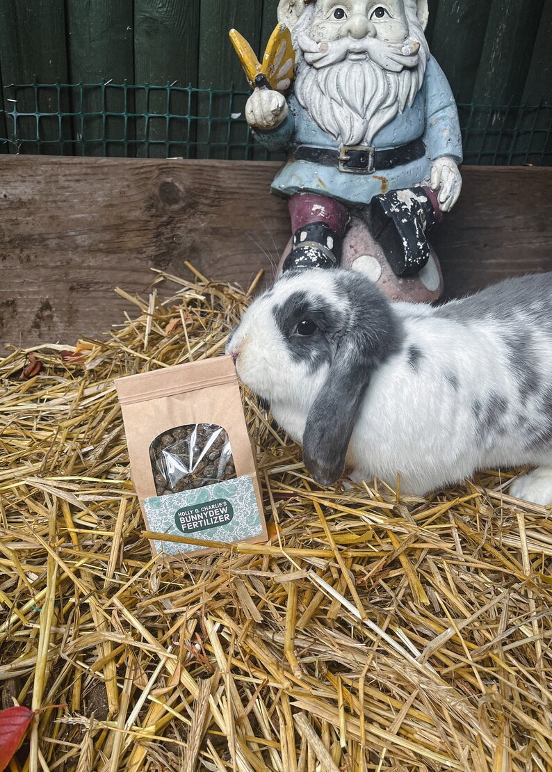 Bunnydew Small Batch Organic Rabbit Fertilizer Home Garden and ...
