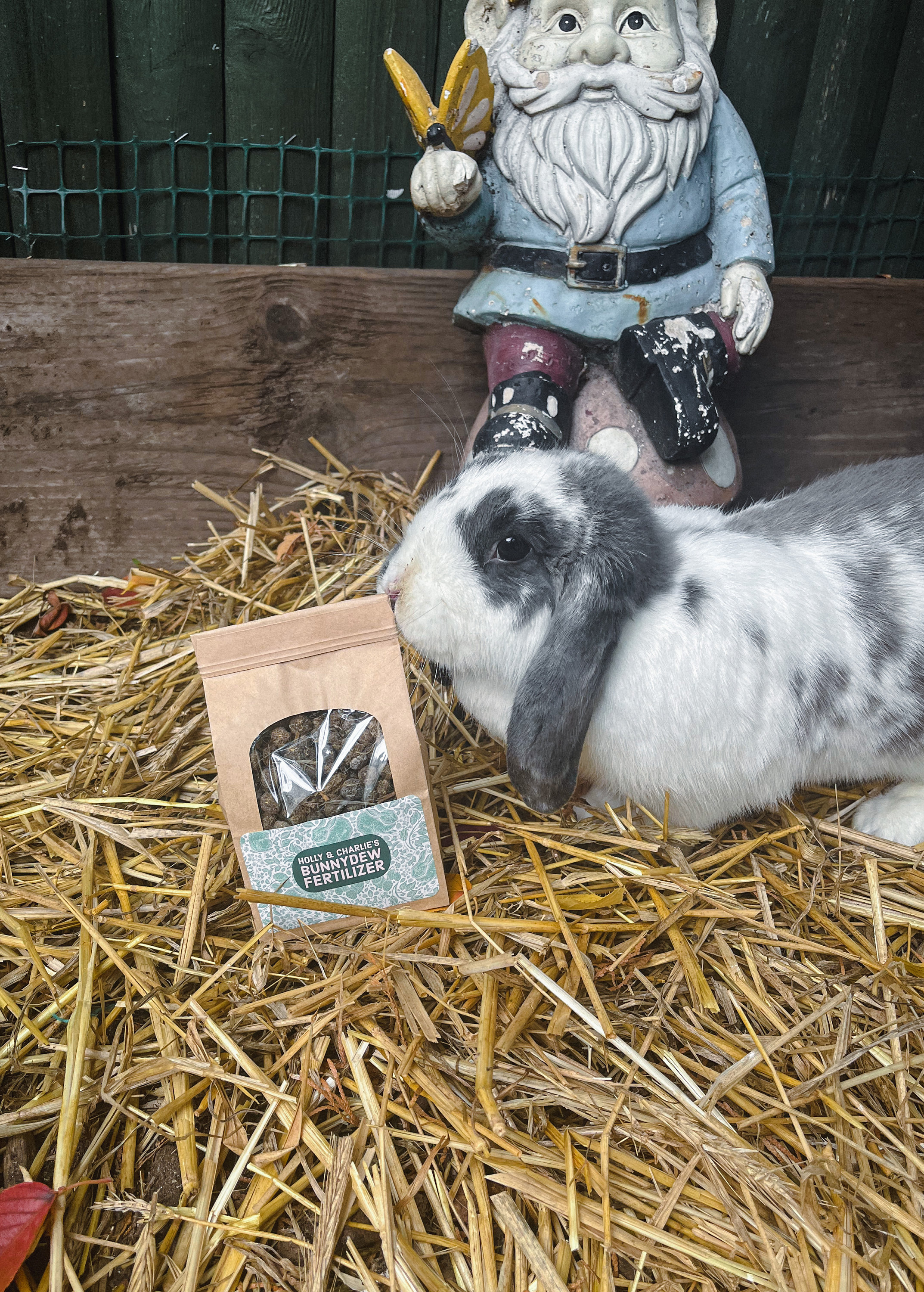 Bunnydew Small Batch Organic Rabbit Fertilizer Home Garden and ...