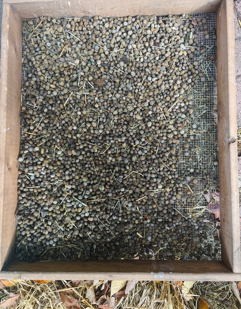 Bunnydew Small Batch Organic Rabbit Fertilizer Home Garden and ...