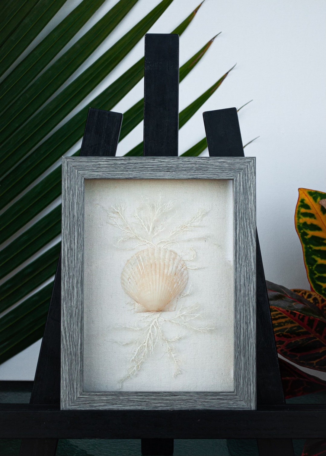 Shell Shadow Box - Wall Art - Etsy
