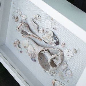 Shell Shadow Box - Wall Art - Etsy