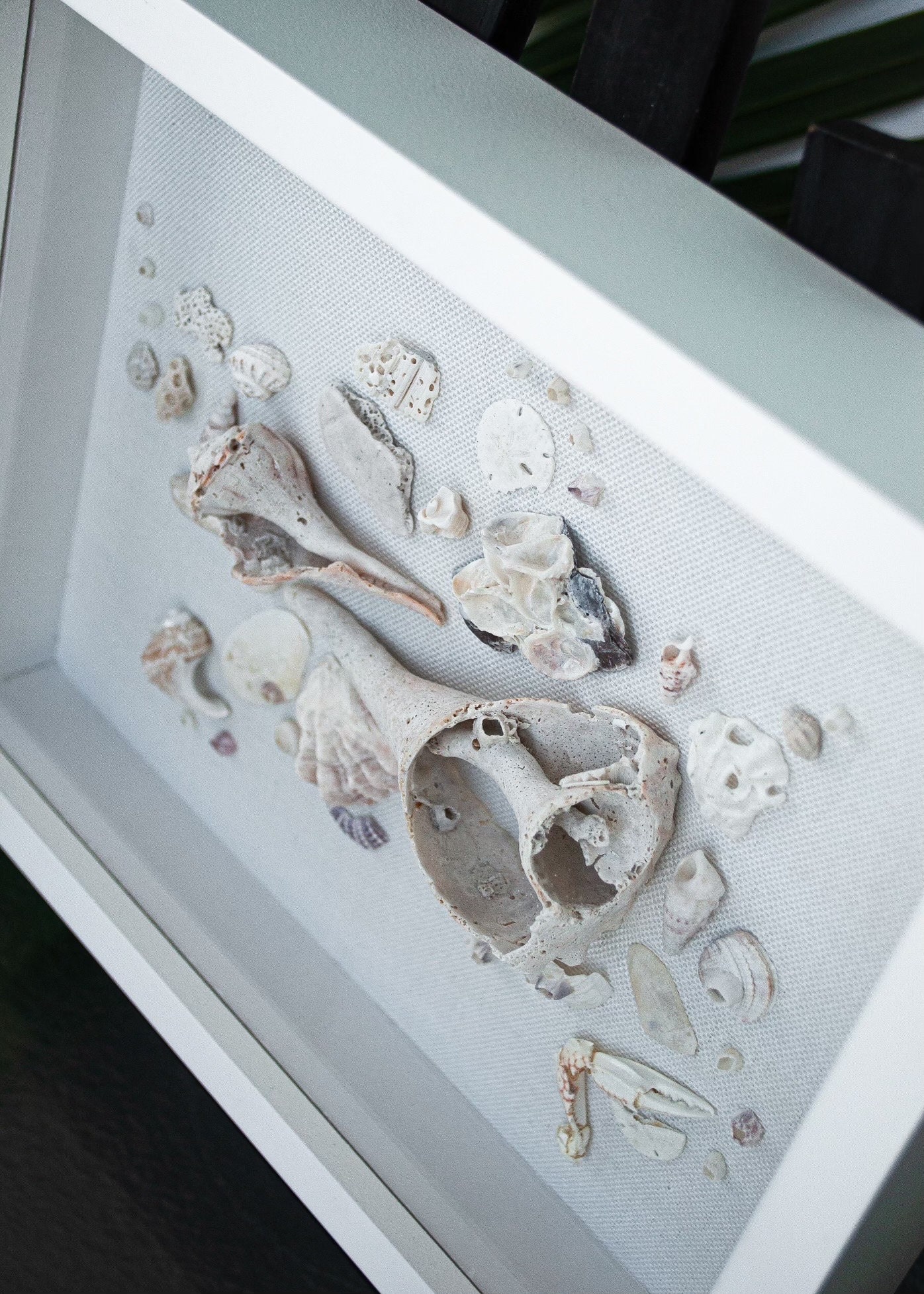 Shell Shadow Box - Wall Art - Etsy