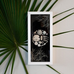 Shell Shadow Box Wall Art - Etsy