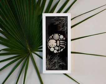 Shell Shadow Box Wall Art - Etsy