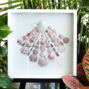 Shell Shadow Box - Wall Art - Etsy