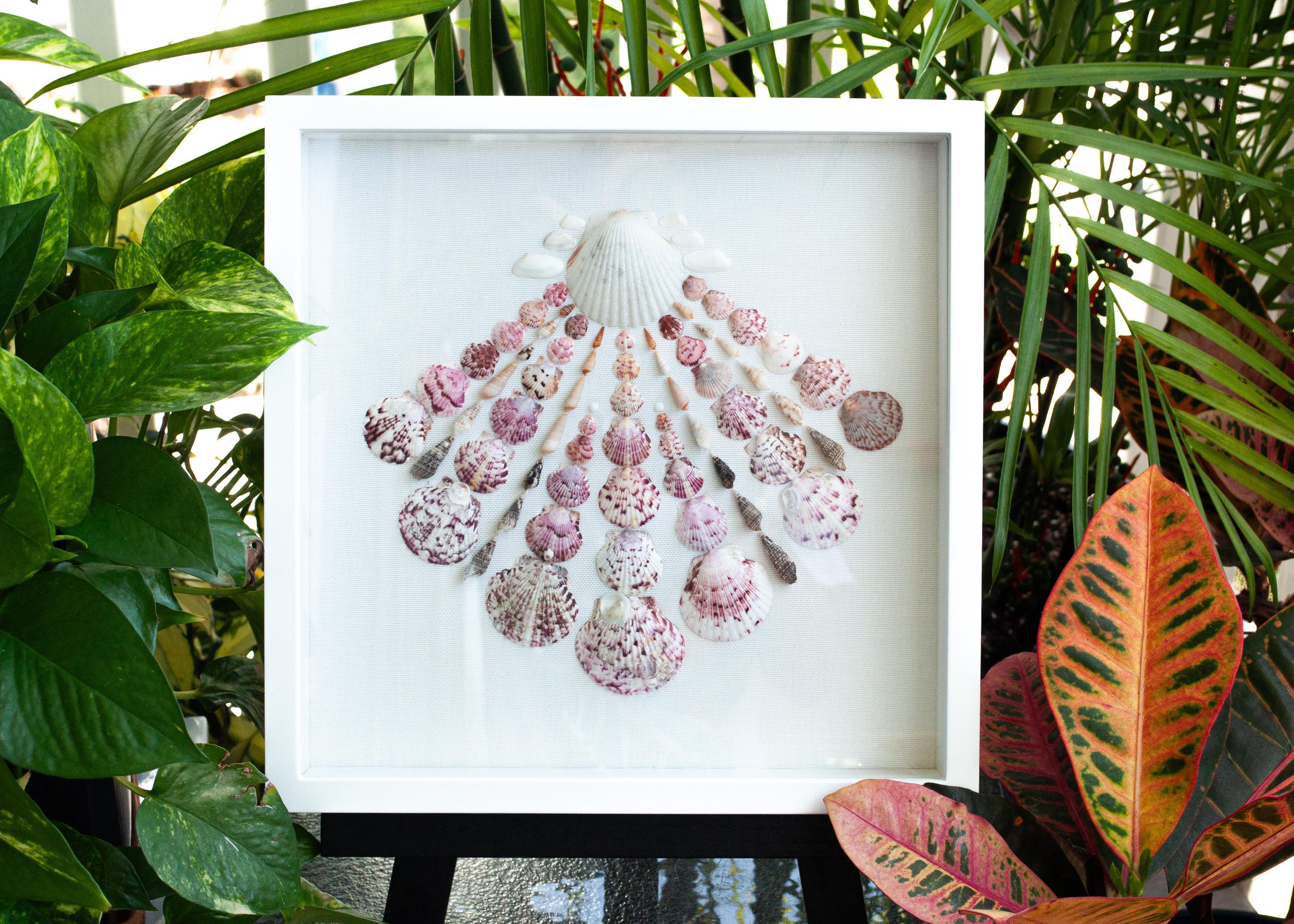 Shell Shadow Box - Wall Art - Etsy