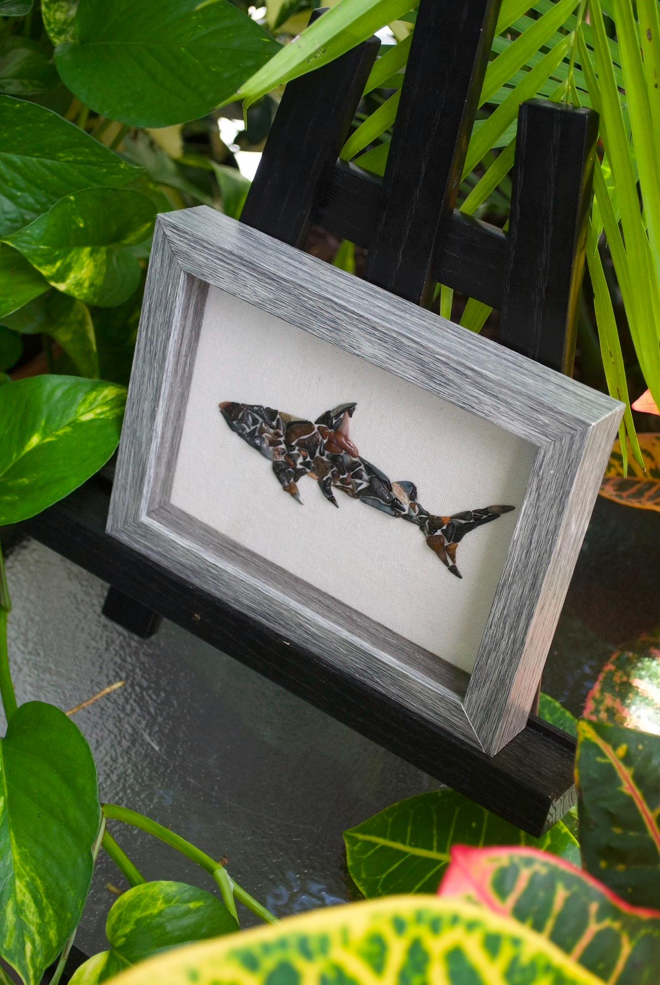 Great White Shark Tooth Shadow Box - Etsy