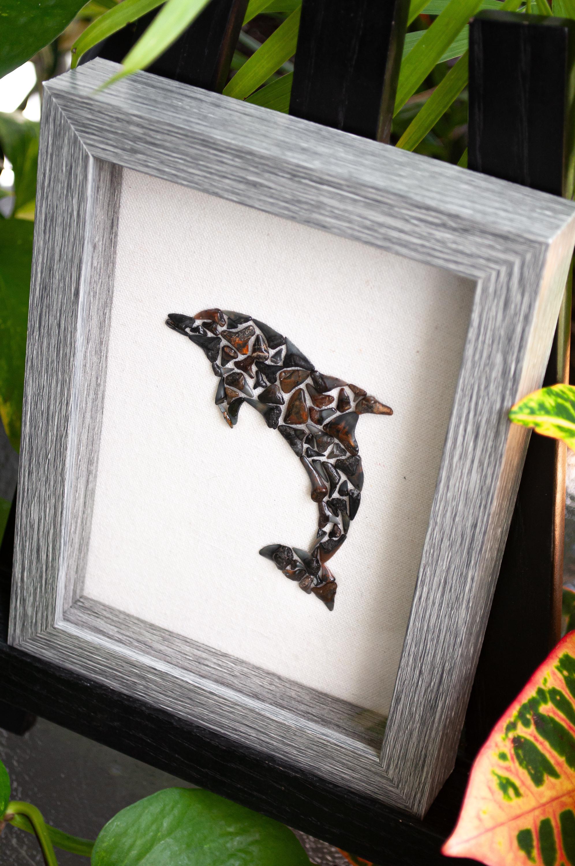 Dolphin Shark Tooth Shadow Box - Etsy
