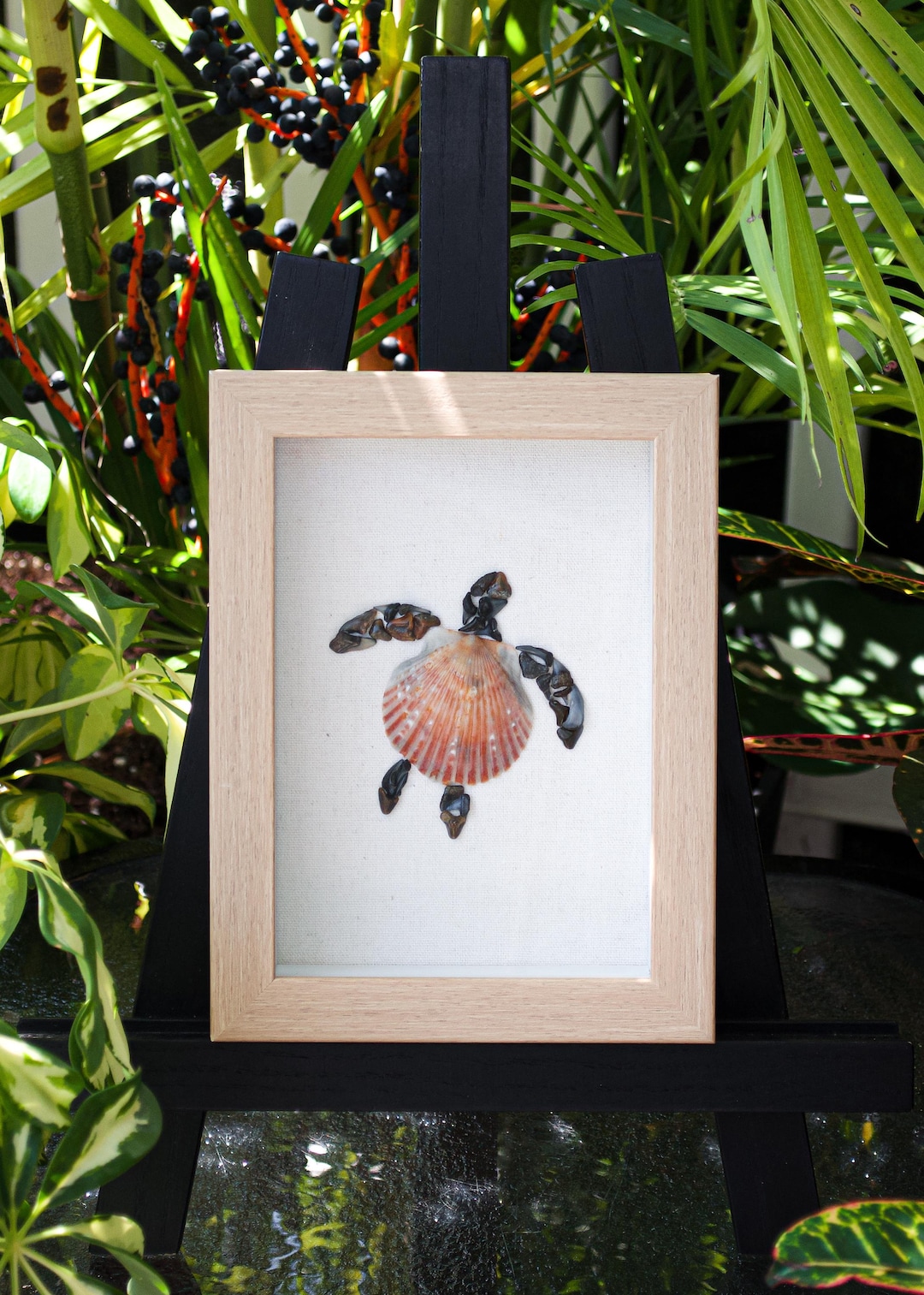 Turtle Shark Tooth Shadow Box - Etsy