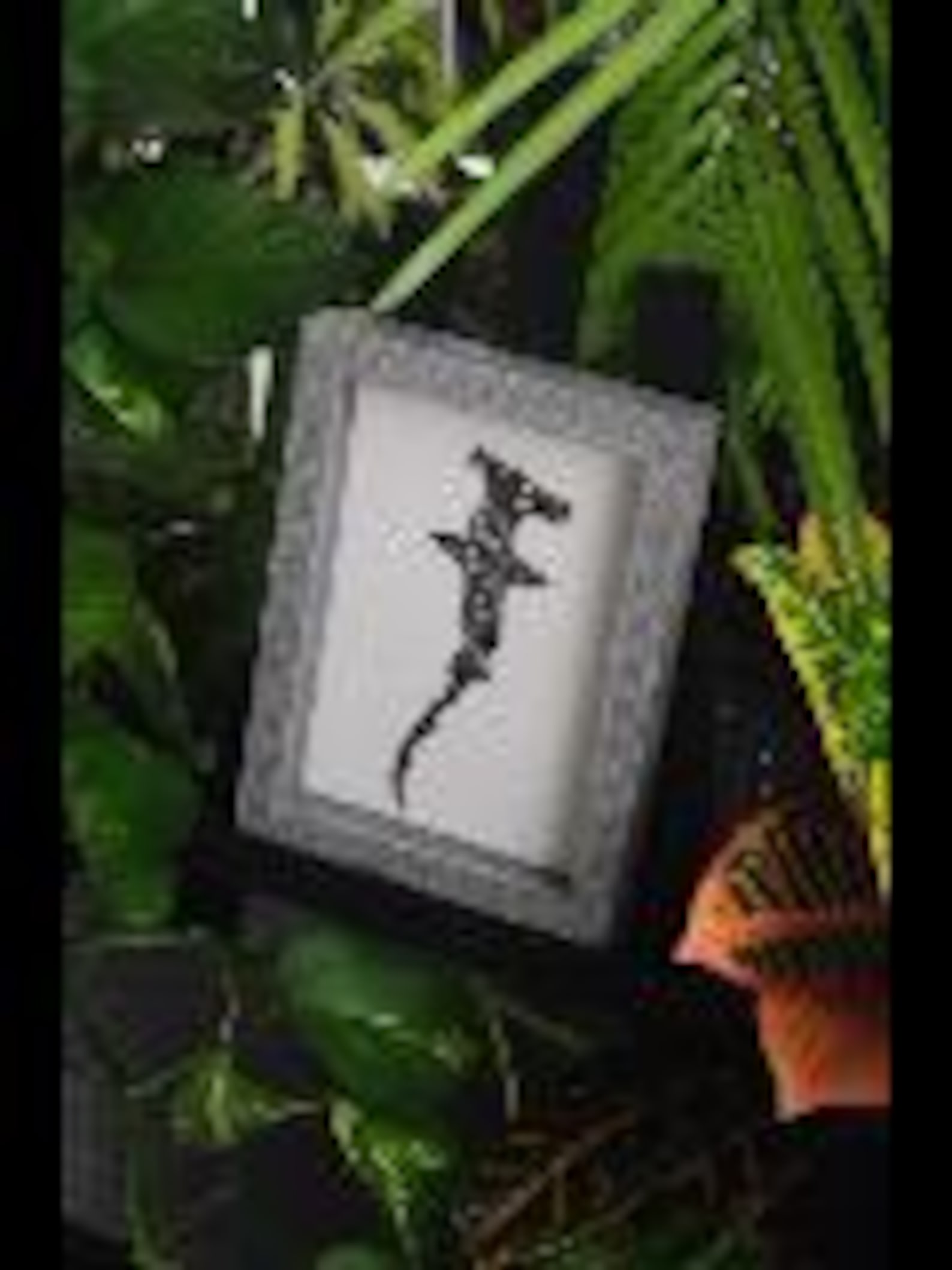 Hammerhead Shark Tooth Shadow Box - Etsy