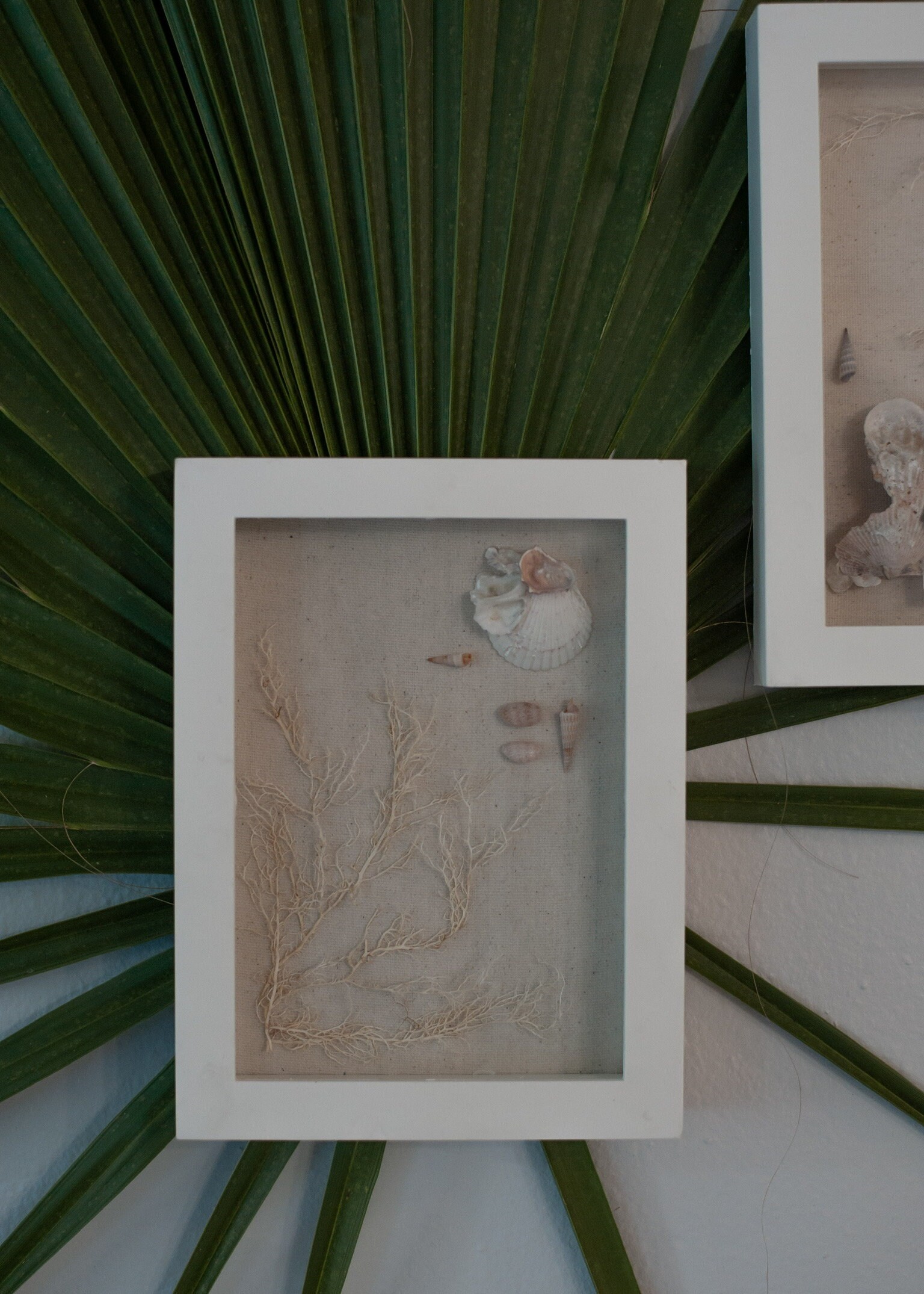 Shell Shadow Box Duo - Wall Art - Etsy
