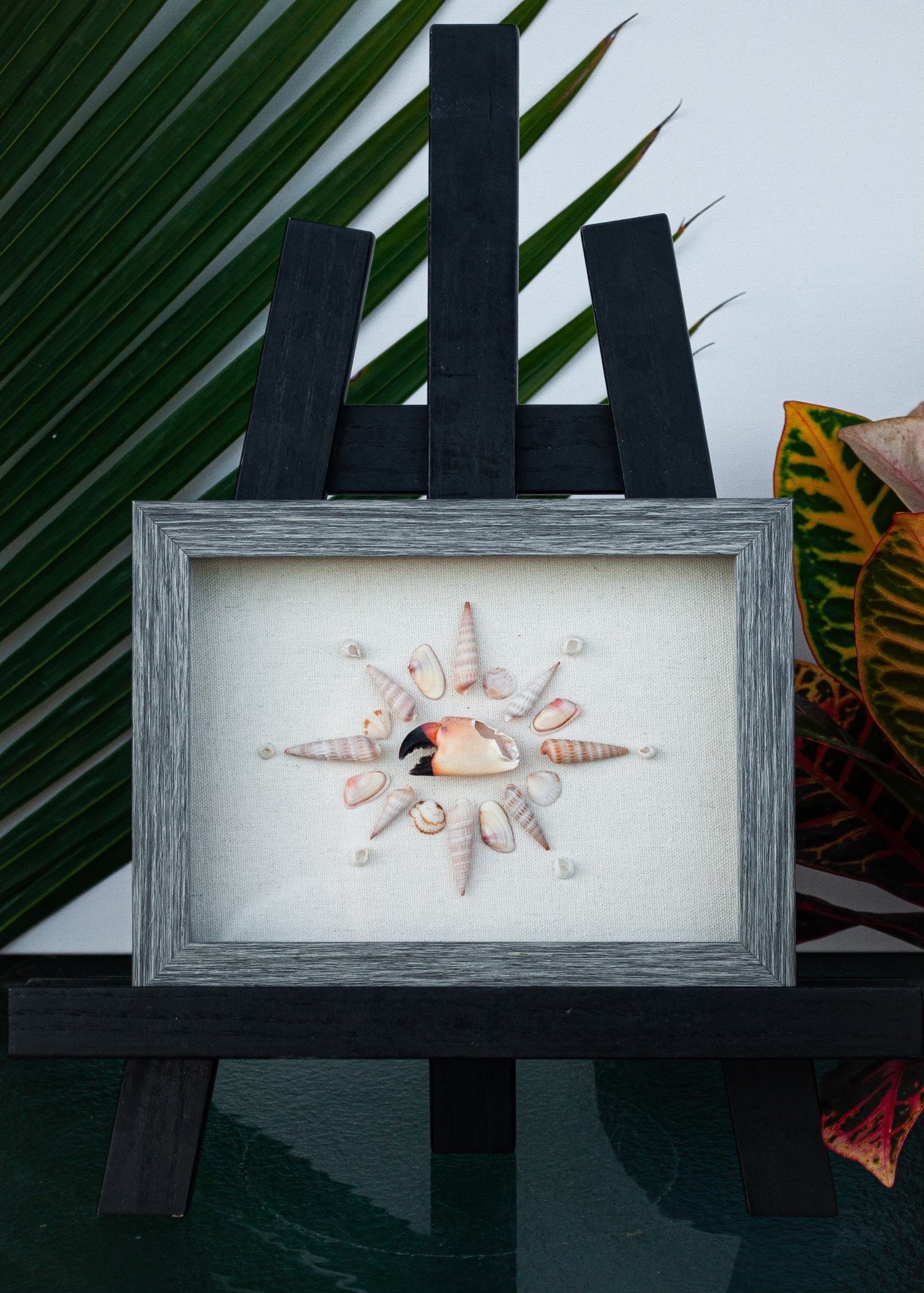 Shell Shadow Box Wall Art - Etsy