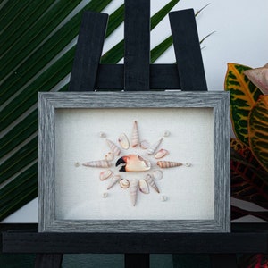 Shell Shadow Box Wall Art - Etsy