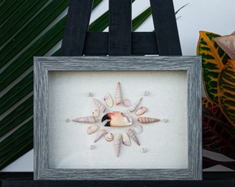 Shell Shadow Box Wall Art - Etsy