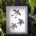 Turtles Shadow Box Wall Art - Etsy